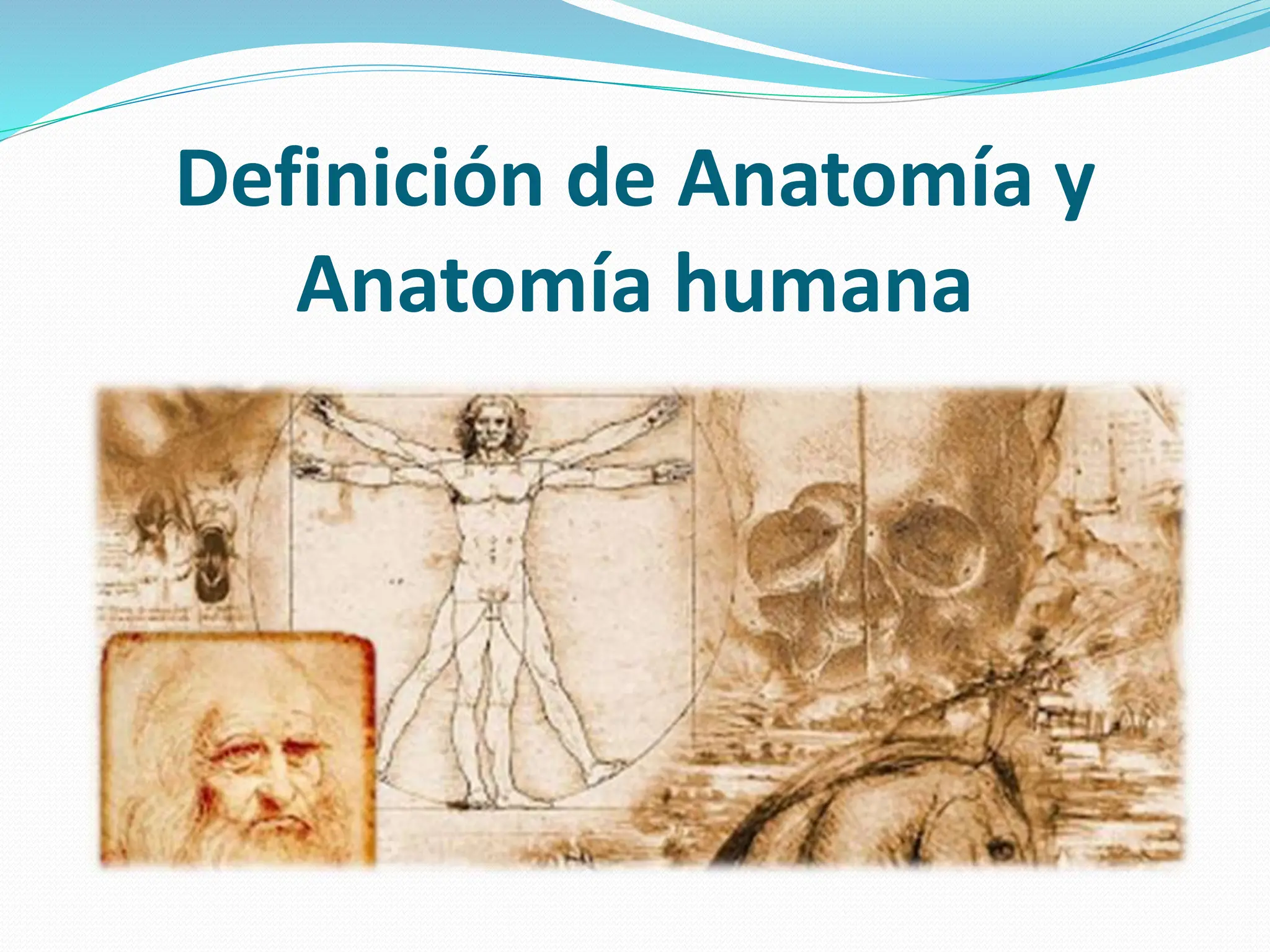 INTRODUCCION A LA ANATOMIA Y GENERALIDADES | PPTX | Biological Sciences ...