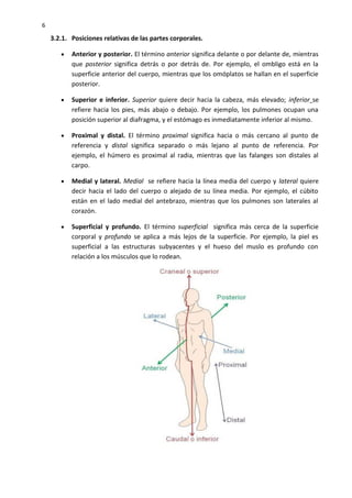 Introducción a la anatomía | PDF