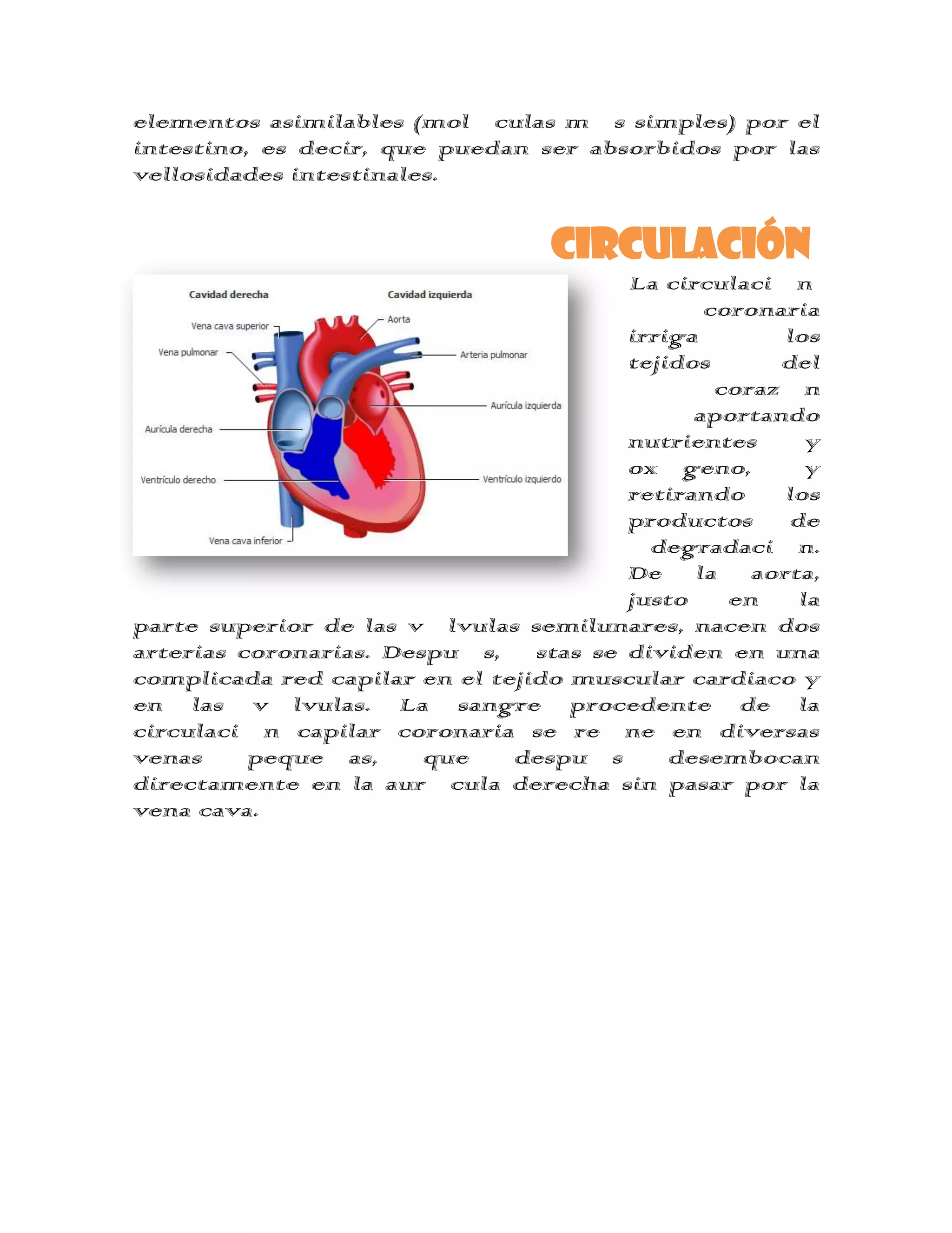 Introduccion a los seres vivos | PDF