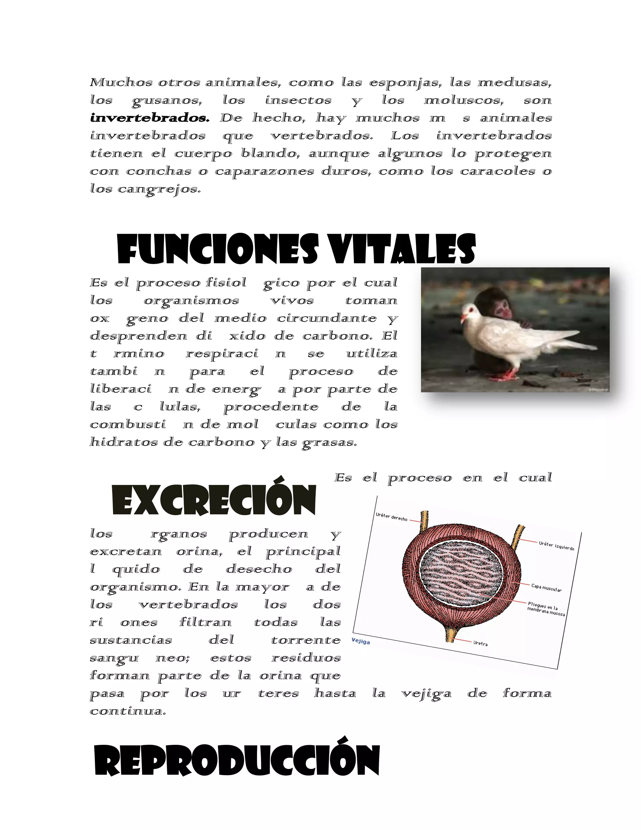 Introduccion a los seres vivos | PDF