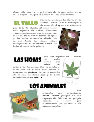 Introduccion a los seres vivos | DOCX