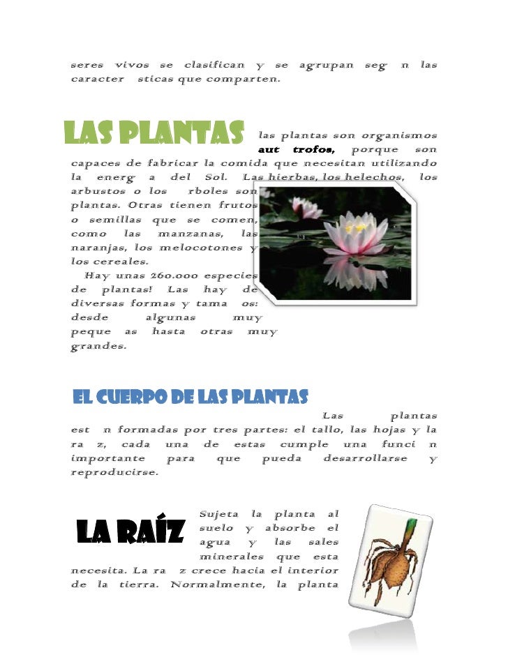 Introduccion a los seres vivos