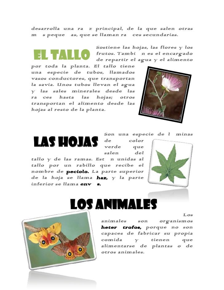 Introduccion a los seres vivos