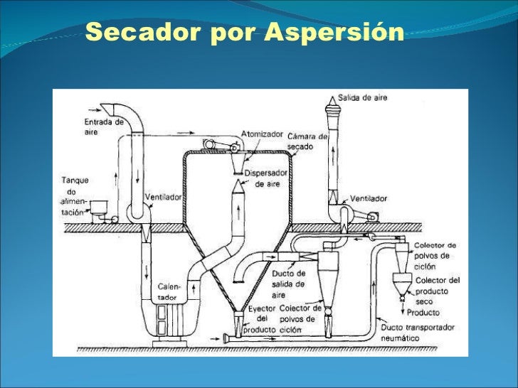 Introduccion al secado