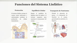 Introducción al Sistema Linfático e Inmunitario.pptx
