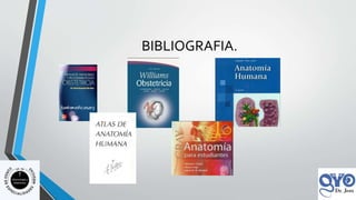 INTRODUCCIÓN GYO - ANATOMIA VUVA Y PERINE.pptx