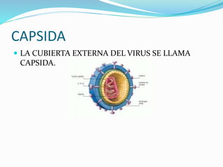Introduccion Patologia Infecciosa | PPTX