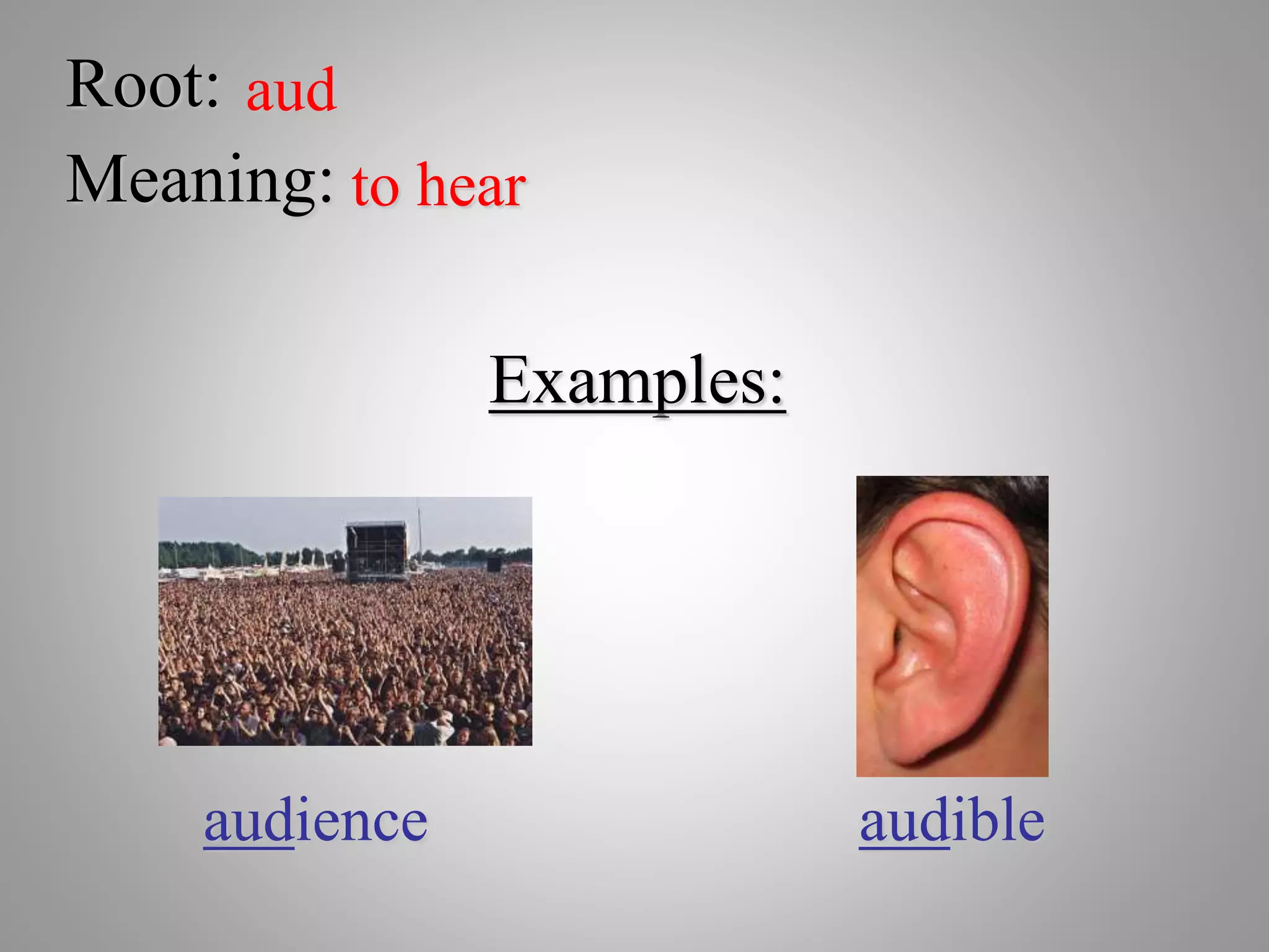 Introduce prefixes suffixes roots affixes power point | PPTX