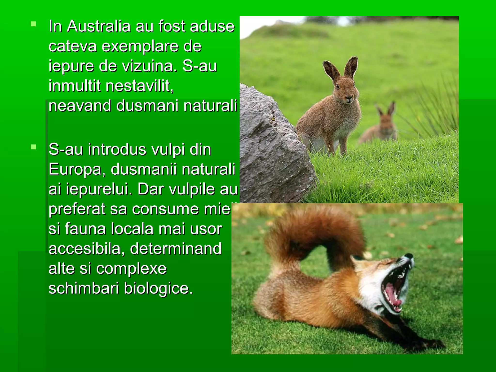 Introducereadespeciinoi necosisteme | PPT