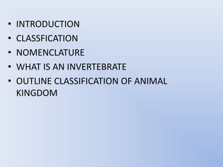 Introduce the kingdam of animalia | PPT