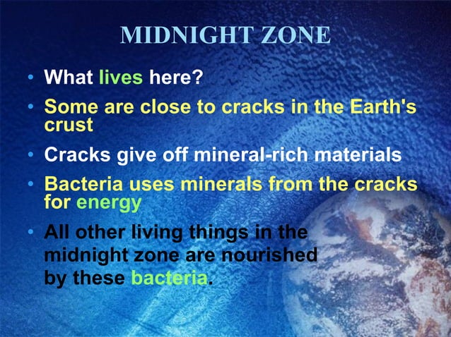 Introduce the Ocean Zones | PPT | Geography | Science
