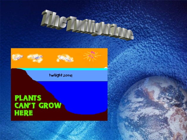 Introduce the Ocean Zones | PPT | Geography | Science