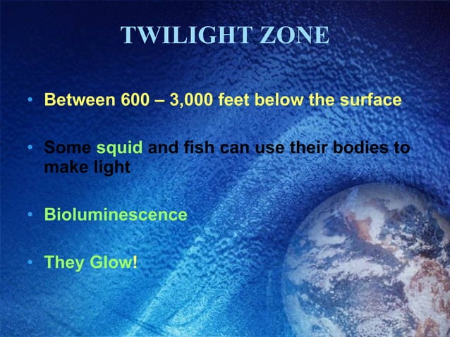 Introduce the Ocean Zones | PPT | Geography | Science