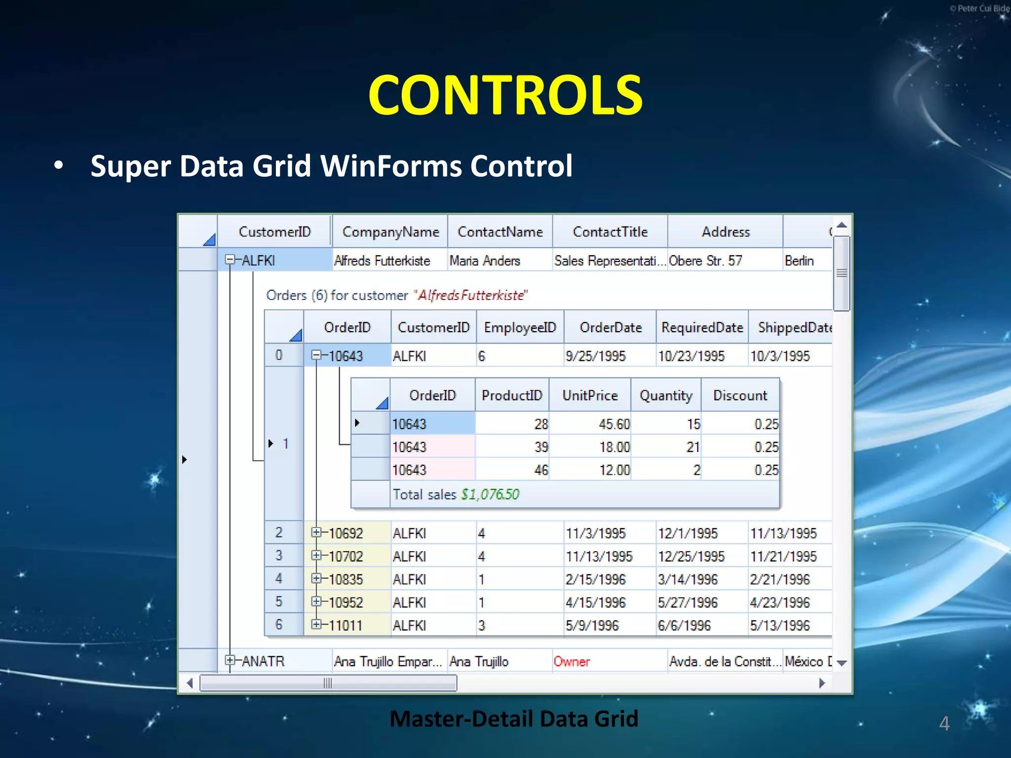 Introduce to Dotnetbar | PPT