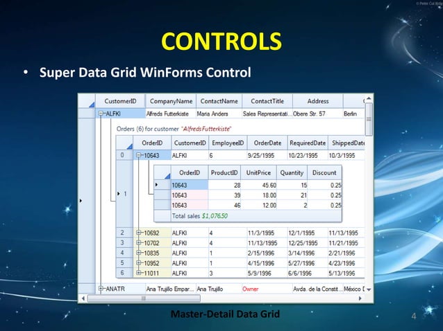 Introduce to Dotnetbar | PPT