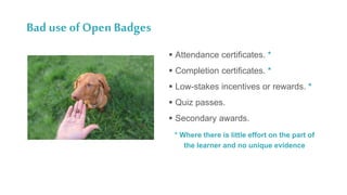 What are Open Badges? | PPTX | Technology & Computing