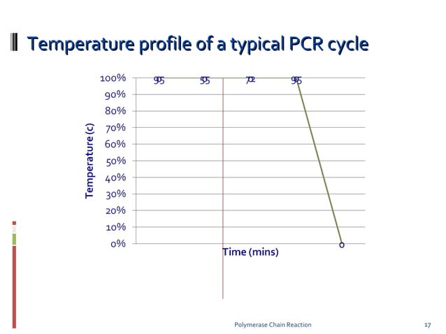 PCR | PPT | Chemistry | Science