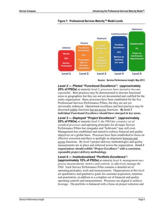 Introducing the Professional Service Maturity Model | PDF