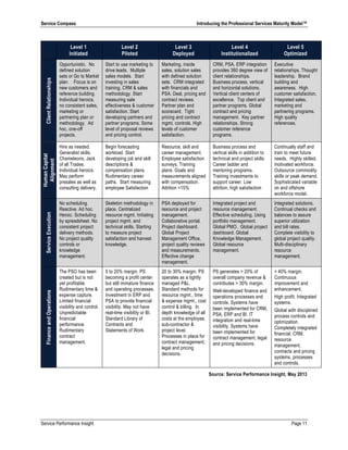 Introducing the Professional Service Maturity Model | PDF