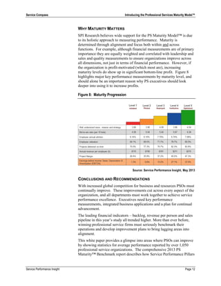 Introducing the Professional Service Maturity Model | PDF