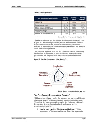 Introducing the Professional Service Maturity Model | PDF