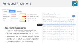 Introducing VSClinical: Streamlining ACMG Variant Interpretation ...