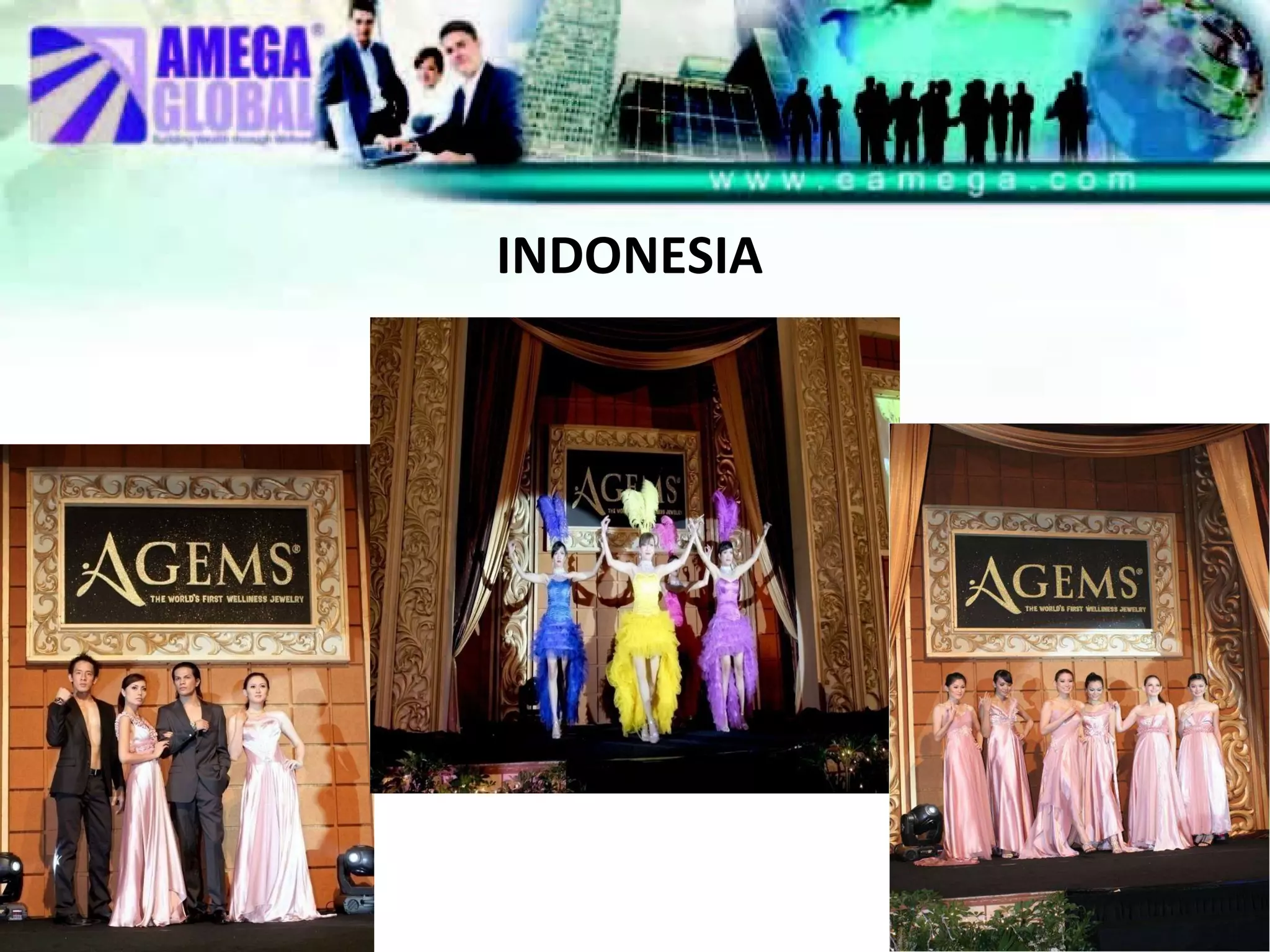 Amega global introduction | PPT | Business Utilities | Business