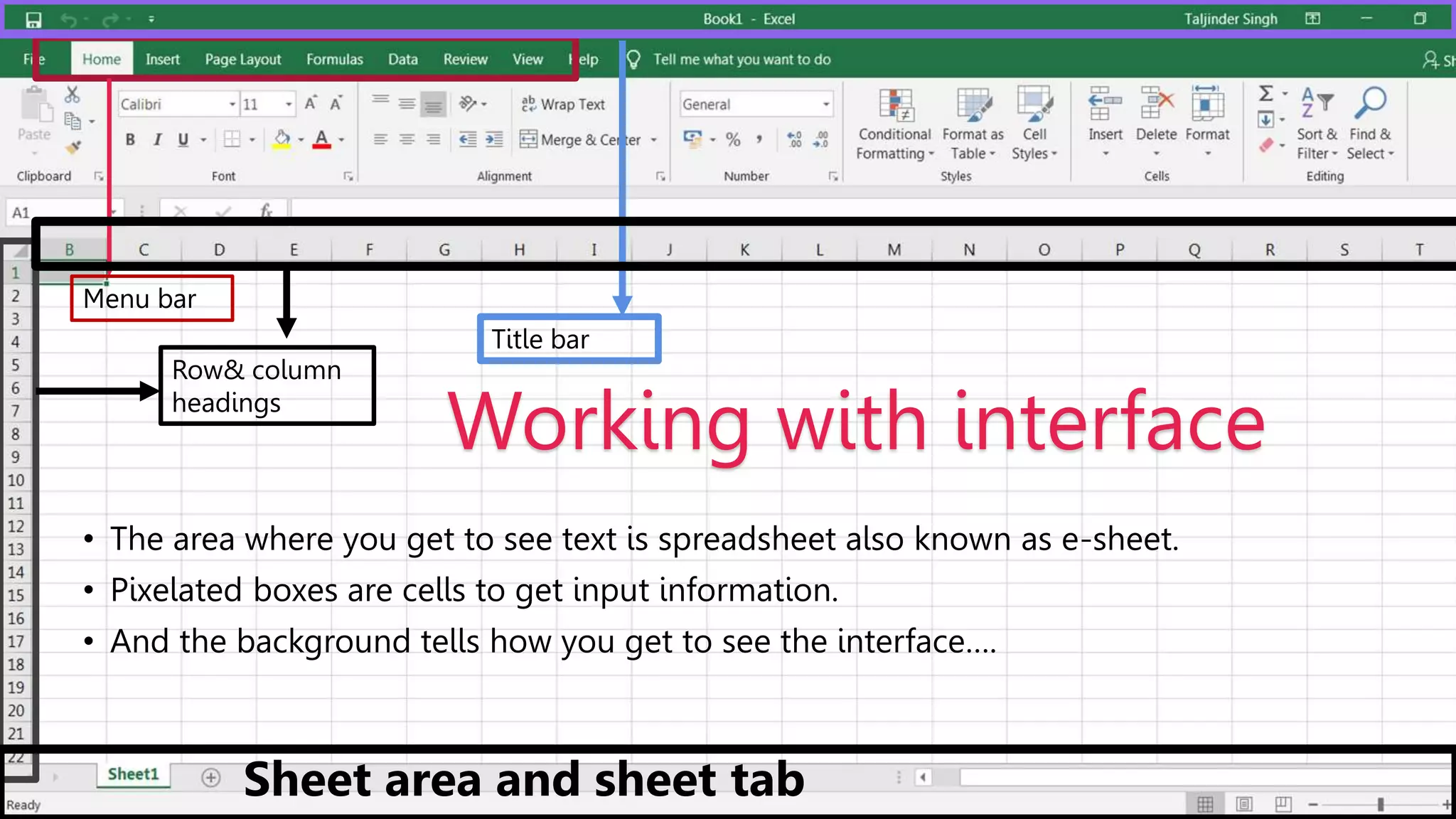 Introducing a spreadsheet application.pptx