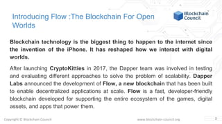 Introducing flow the new blockchain for open worlds | PPT