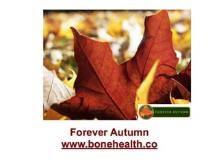 Introducing Forever Autumn | PPTX