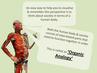 Introduction to FUNCTIONALISM | PPTX