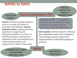 Introducing National Adaptation Plans Pptx