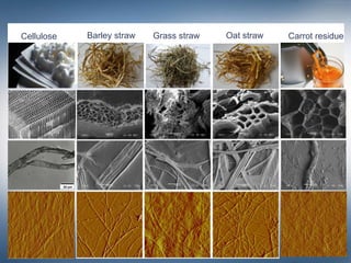 Introducing natural nanomaterials - Kristina Oksman | PPTX