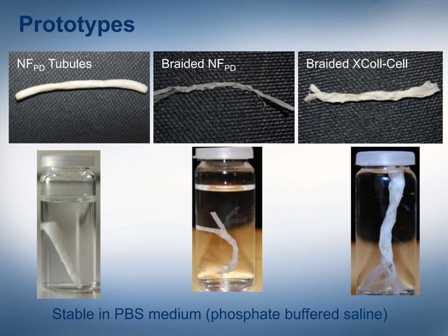 Introducing natural nanomaterials - Kristina Oksman | PPT