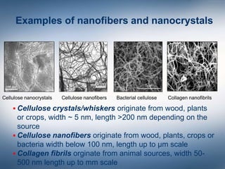Introducing natural nanomaterials - Kristina Oksman | PPTX