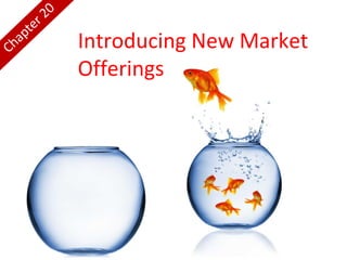 Introducing new market offerings | PPT