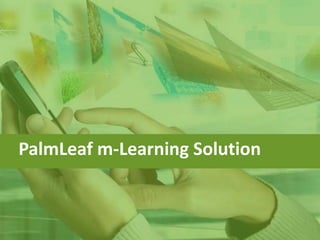 Introducing Palm Leaf | PPTX