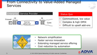 Introducing the ADVA FSP 150-GE110 Pro Series | PDF