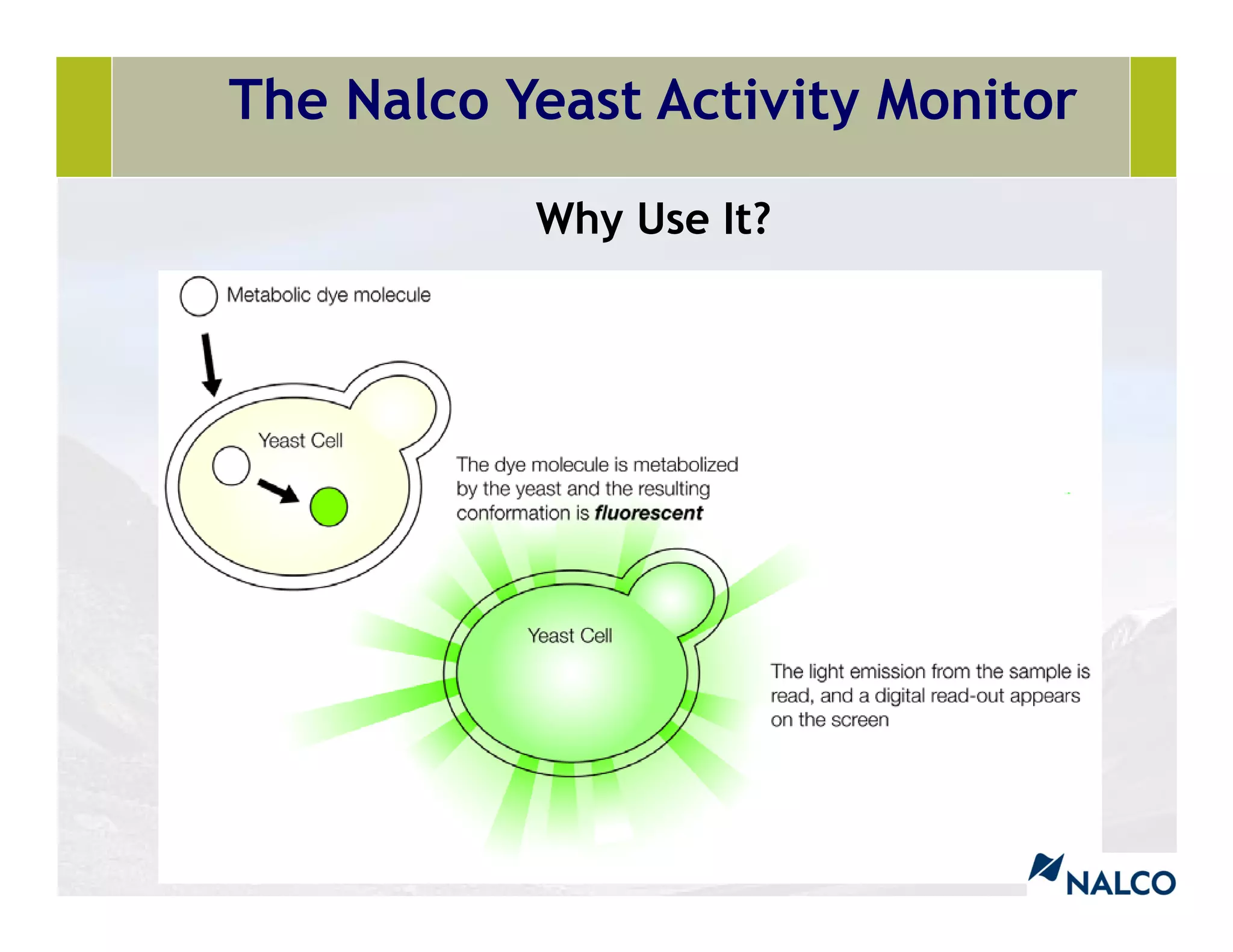 Introducing The Nalco Yeast Activity Monitor | PDF