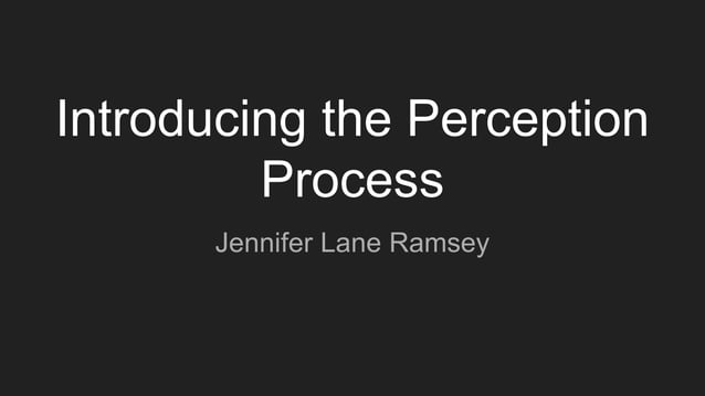 Introducing the Perception Process -2024 .pptx