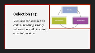 Introducing the Perception Process -2024 .pptx