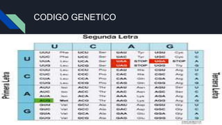 INTRODUCION A LA HISTOLOGIA. TEMA, CELULAS, TEJIDOS, ESTUDIO DE LA ...
