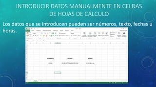 Introducir datos en excel