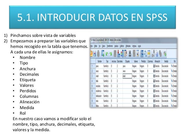 programa de spss