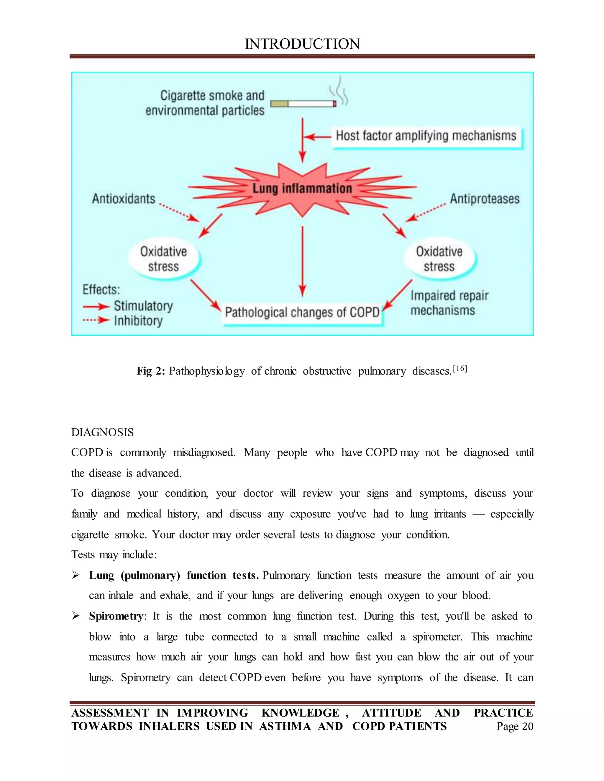 Asthma And Chronic Obstructive Pulmonary Disorder Pdf