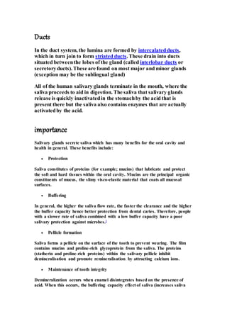 salivary glands | PDF