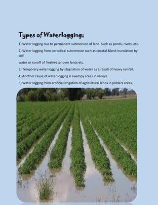 WATER LOGGING AND SALINITY IN PAKISTAN | PDF