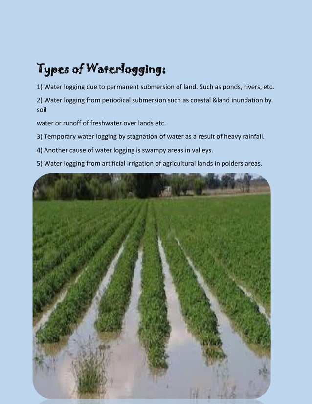WATER LOGGING AND SALINITY IN PAKISTAN | PDF | Agriculture | Industries