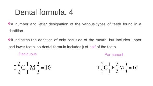 Introduction Dental Morphology 1 سماح خالد