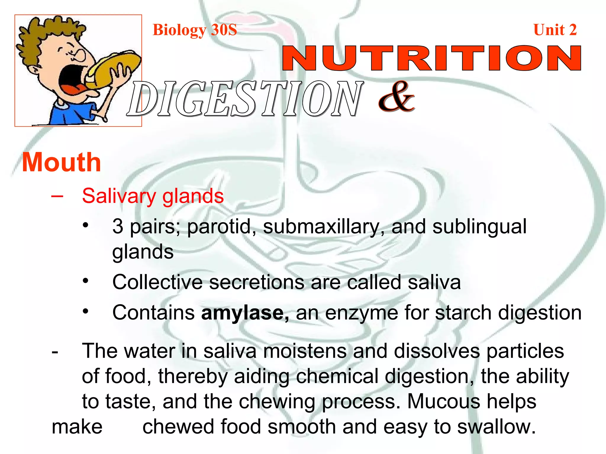 Digestion Introduction | PPT